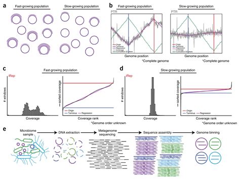 从宏基因组量化细菌生长动态 quantifying and comparing bacterial growth dynamic csdn博客