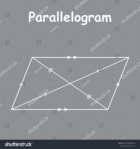 Properties Parallelogram Geometry Area Perimeter Parallelogram Stock Vector Royalty Free