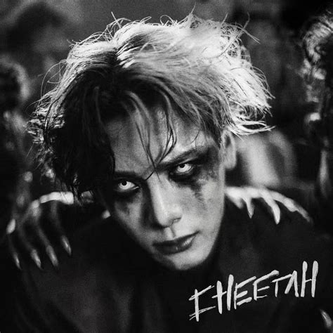 王嘉尔上线新英文单曲科切拉音乐节表演登多国趋势榜榜首 Cheetah 舞台