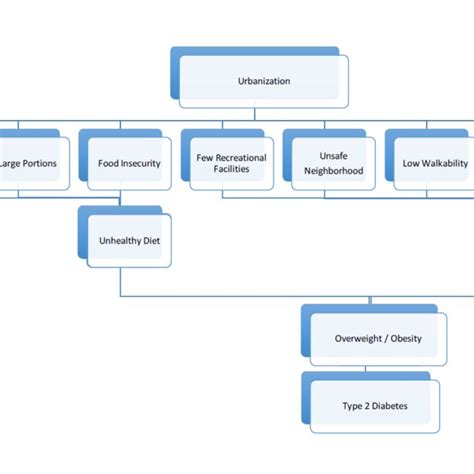 Examples Of Web Of Causation For Two Diabetes Risk Factor Sets