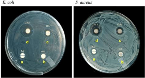 Disc Diffusion Test Against E Coli And S Aureus With Varying