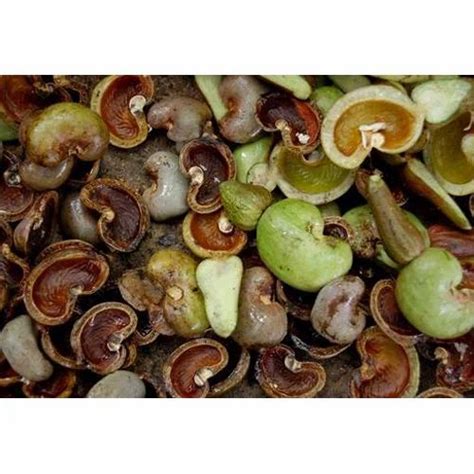 Google Impex Raw Cashew Nut Shells Packaging Type Sacks At 10 Kilogram In Gurgaon