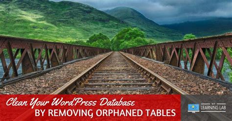 Clean Your Wordpress Database By Removing Orphaned Tables Wplearninglab