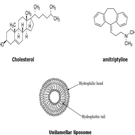 Chemical Structures Of DOPC SOPC And DSPC Download Scientific Diagram