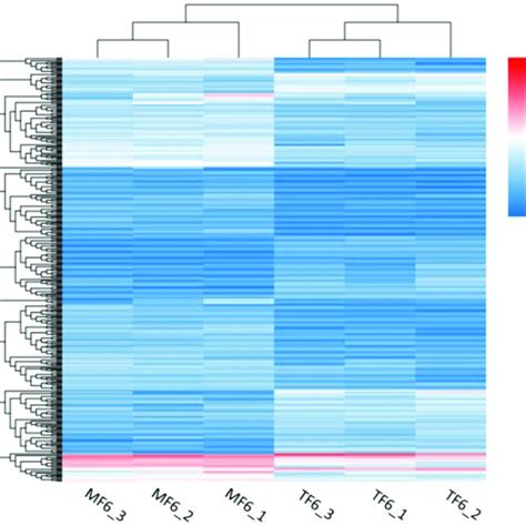 Expression Quantity Clustering Heat Map Of Degs Based On The Fragments Download Scientific