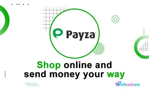 What Is Payza Payment System Wellcoinex