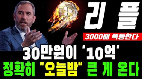 리플 전망 30만원이 10억 정확히 오늘밤 리플 리플코인 리플전망 리플코인전망 리플분석 Sec 업비트시황 코인