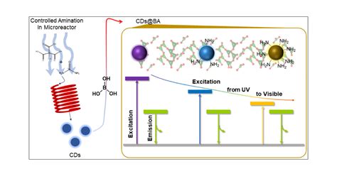 Visible Light Excited Room Temperature Phosphorescent Carbon Dots Via Surface Amination In A