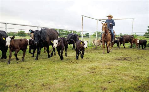 Noble Research Institute Releases Ranch Safety Guide The Ardmoreite