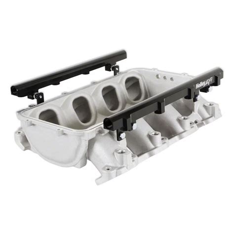 Holley Efi Camaro Lo Ram Intake Manifold Base And Port Injection Fuel