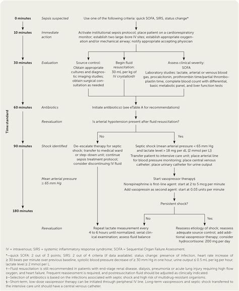 Septic Shock Treatment Algorithm At Ebony Butters Blog