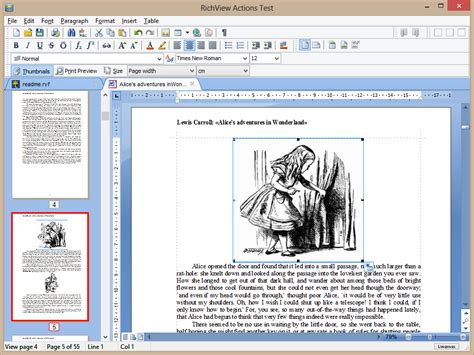 Trichview Scalerichview Reportworkshop And Rvmedia Components For Delphi And Cbuilder