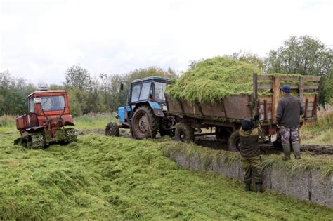 Агрокомплекс Инта Приполярная продолжает заготовку кормов для крупного рогатого скота Комиинформ