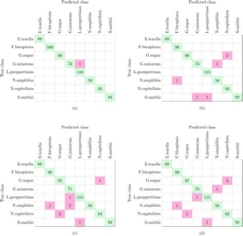diatom identification including life cycle stages through morphological