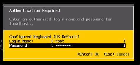Warning Dhcp Lookup Failed в Vmware Esxi 55 Настройка серверов