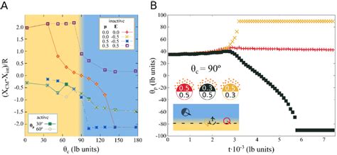 A Steady Particle Displacement With Respect To The Interface As A Download Scientific Diagram