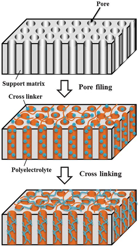 Schematic Procedure For The Preparation Of Pore Filling Membranes