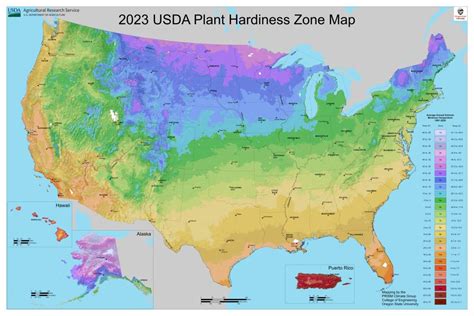 Plant Zones Plant Zones Growing Zones Map Yellow Plants Hot Sex Picture