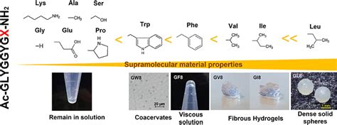 Polypeptide Molecule Structure