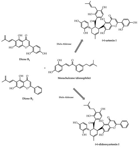 Stereoselective Synthesis Of Flavonoids A Brief Overview