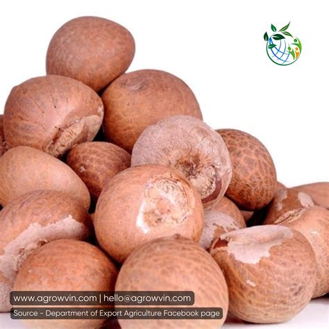 Agrowvin මොනවද මේ කරුංකා කරුංකා කියන්නේ වියළි පුවක් වලට පුවක් අස්වනු වැඩි කාලෙට