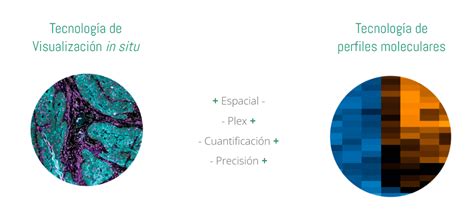 Geomx Digital Spatial Profiler Nanostring Citogen
