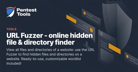 Fuzzer Online Hidden File Directory Finder