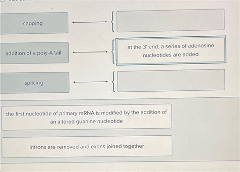 Solved The First Nucleotide Of Primary Mrna Is Modified By