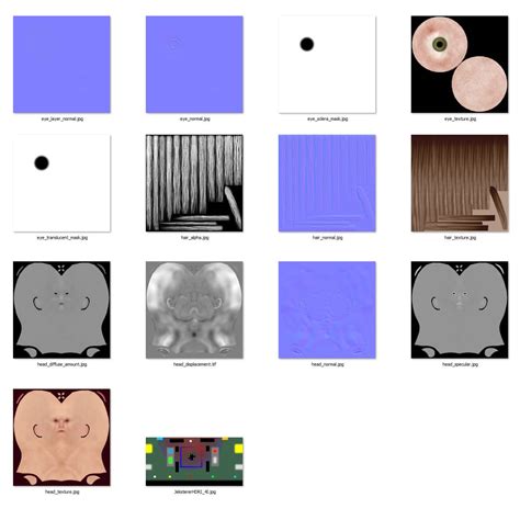 3d Model Human Head Male V6 By Vefilanna