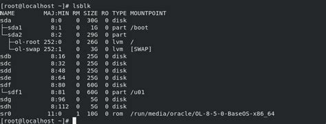 Adding Disks In Linux UDEV The Database Blog