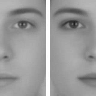 PDF A Sex Difference In Facial Contrast And Its Exaggeration By Cosmetics