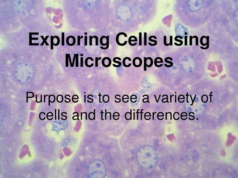 PPT Unit Ch Cells PowerPoint Presentation Free Download ID