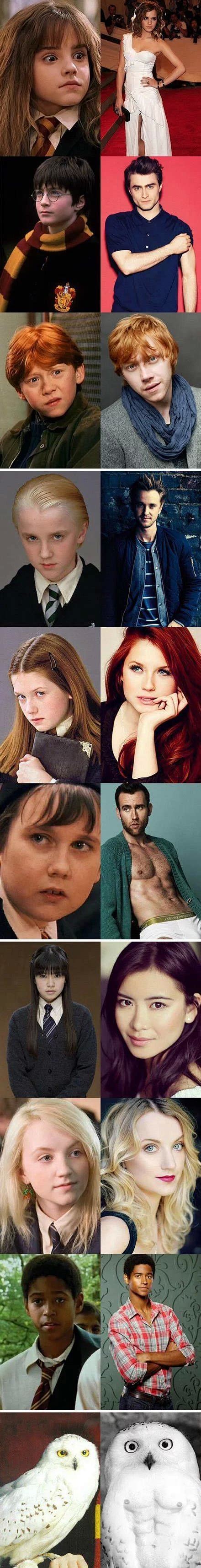 哈利波特演员照片成年 哈利波特演员照片 伤感说说吧