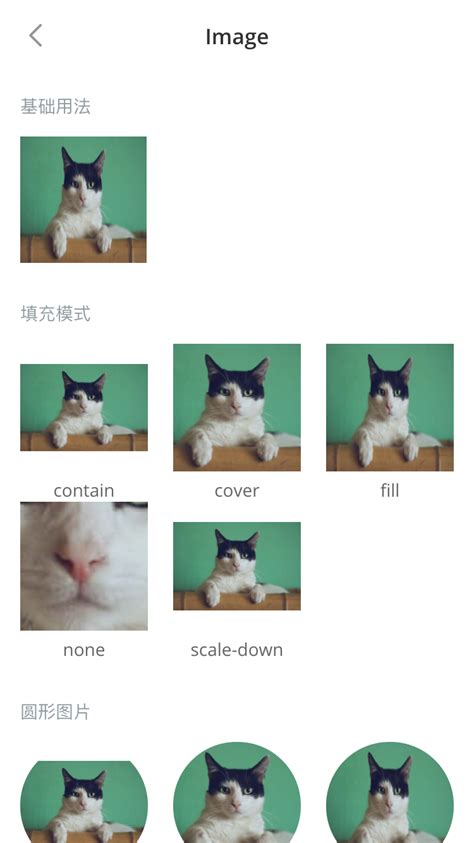react vant packages react vant readme zh cn md at main · 3lang3 react vant · github