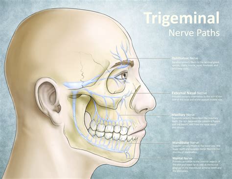 My Trigeminal Neuralgia Story Blog