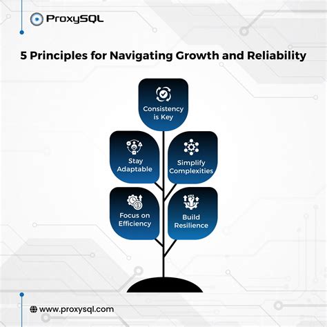 Proxysql These Principles Shape How We Tackle Database Performance And Scalability Daily With