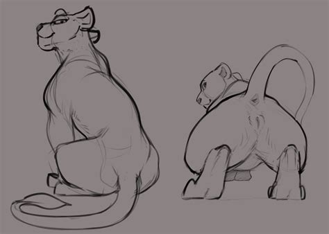 Rule 34 All Fours Anatomically Correct Anatomically Correct Genitalia