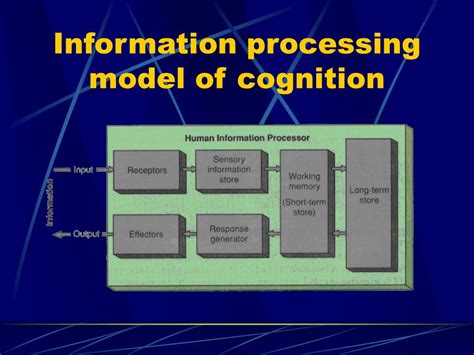Information Processing Theory Information Processing Theory