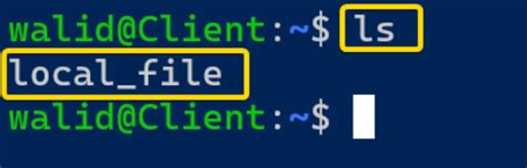 The “ftp” Command In Linux [14 Practical Examples]