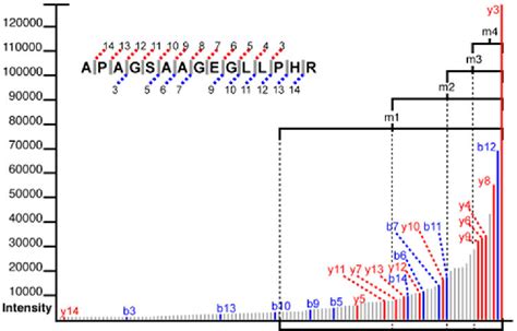 Figure 3 From A Peptide Spectrum Scoring System Based On Ion Alignment Intensity And Pair