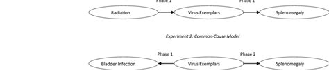 Causal Models In Experiments And Download Scientific Diagram