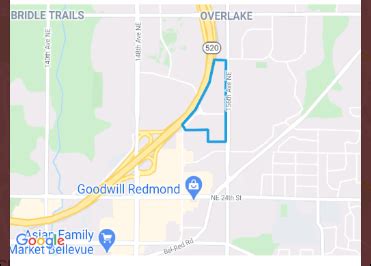 C Xamarin Forms Maps In Carouselview Route Not Shown Directly Stack Overflow
