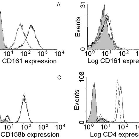 Cd161 On Cd4 Cd28 Null T Cell Clones Can Be Induced By Il 12 Cd4