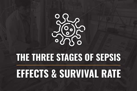 The Three Stages Of Sepsis Effects And Survival Rate