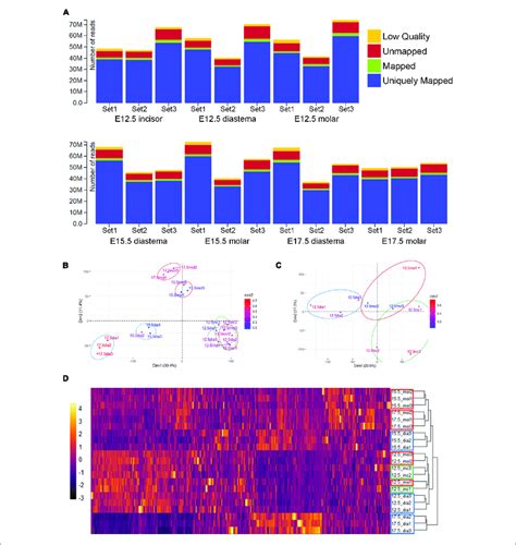 rna seq data alignment and clustering a alignment results of 21