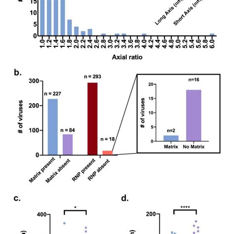Overview Of Vlp Based Vaccine Expression Purification And Formulation Download Scientific