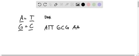 solved strand of dna has the following base sequence attgcgaatggca