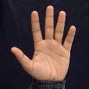 Indian Sign Language Detection Object Detection Model By Niladri Basu Roy