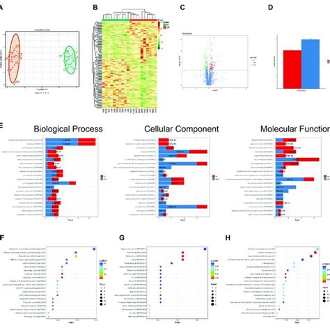Functional Enrichment Analysis Of Differentially Expressed Proteins Download Scientific