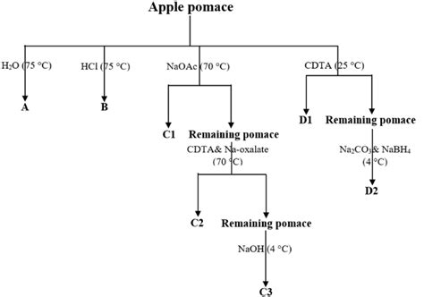 Schematic Representation Of The Extraction Process With Various Methods Download Scientific